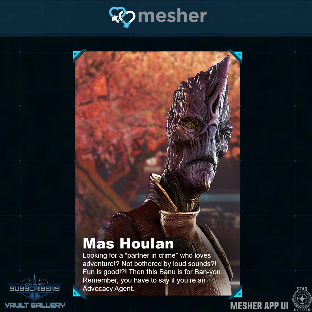 Star Citizen | Mesher App UI – Final - Spaceloop